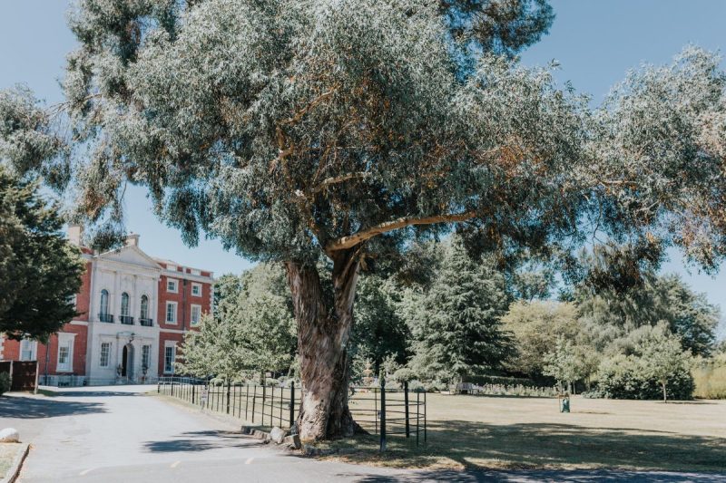 Dorset Function Venue & Wedding Venue - Merley House